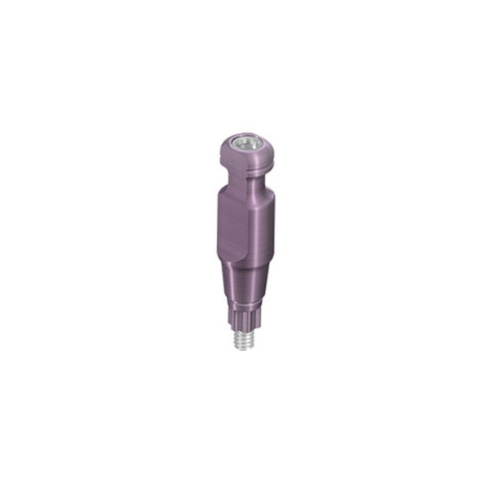 Straumann® Abutments, Analogs, and Dental Implant Accessories – Dentlot.com