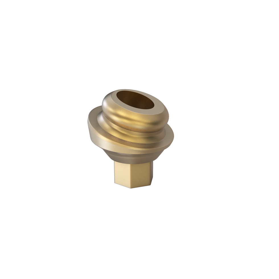 Zimmer® Abutments, Analogs, and Implant Accessories Online – Dentlot.com