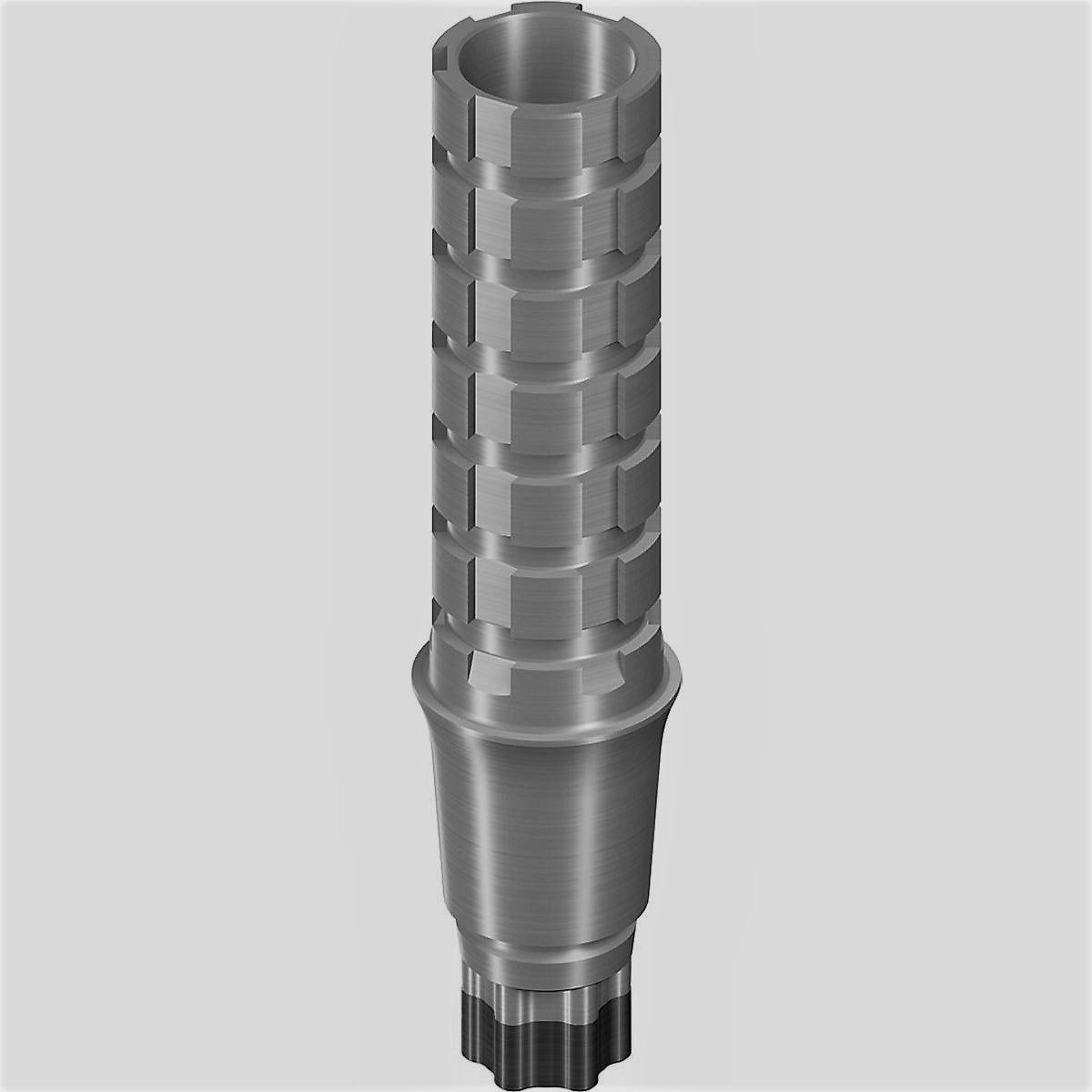 Straumann BLX Temporary Abutment – Dentlot.com