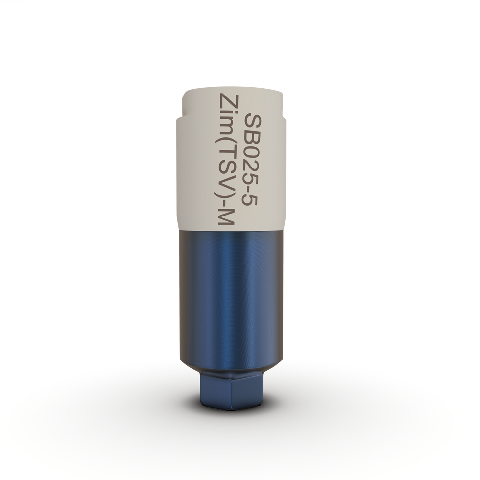 Zimmer® Abutments, Analogs, and Implant Accessories Online – Dentlot.com